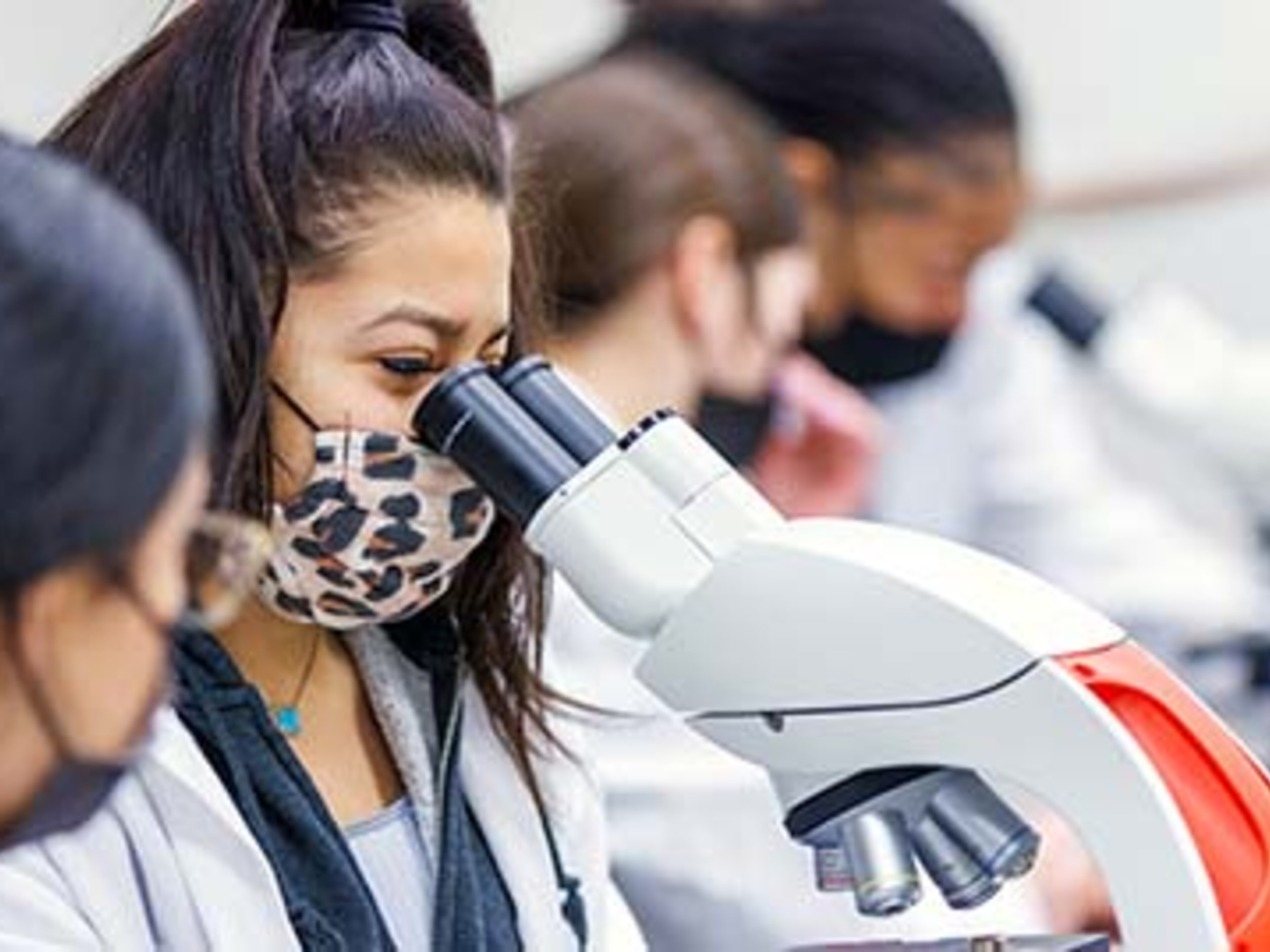 Biochemistry | Nebraska